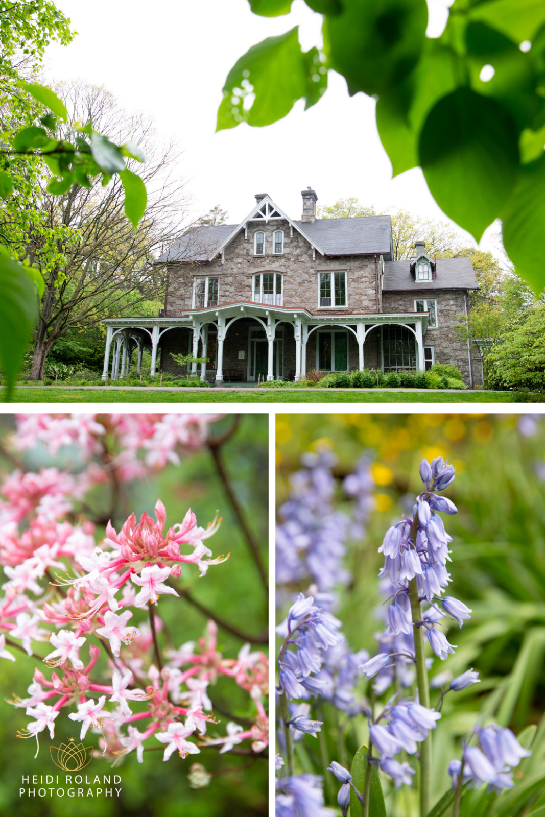 Portico Wedding Philadelphia - Heidi Roland Photography